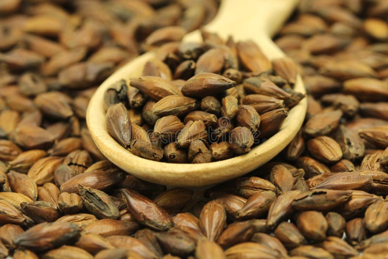 475 Malt Grain Spoon Stock Photos - Free & Royalty-Free Stock Photos ...