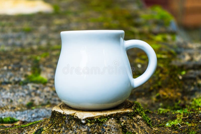 A Caramel Mug Standing Out of a Top Man Made Tree Stump Stock Image ...