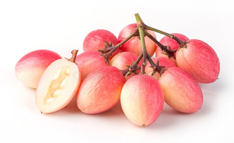 Carunda, Karonda, Carandas Del Carissa, Apocynaceae, Da Fruto Nuez Roja ...