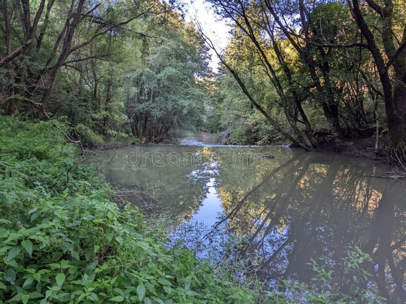 River Valley Path through Romanian Virgin Forest Stock Image - Image of ...