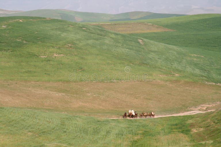 4,120 Ancient Caravan Stock Photos - Free & Royalty-Free Stock Photos ...