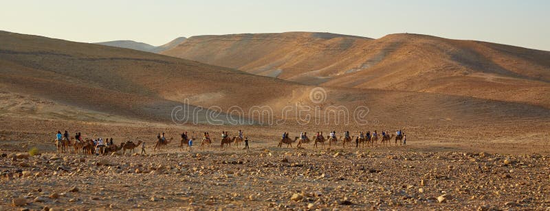 Caravan in the Desert, Israel Stock Image - Image of nature, kings ...