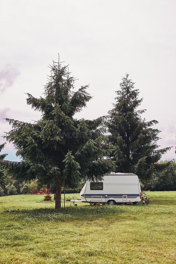 Caravan Left among the Pine Trees on Campsite Stock Photo - Image of ...