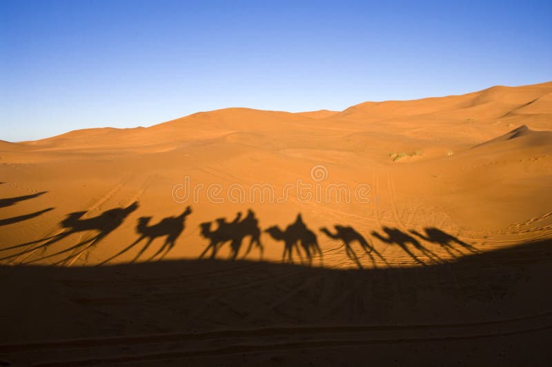 Caravan in the Sahara Desert Stock Image - Image of morning, desert ...