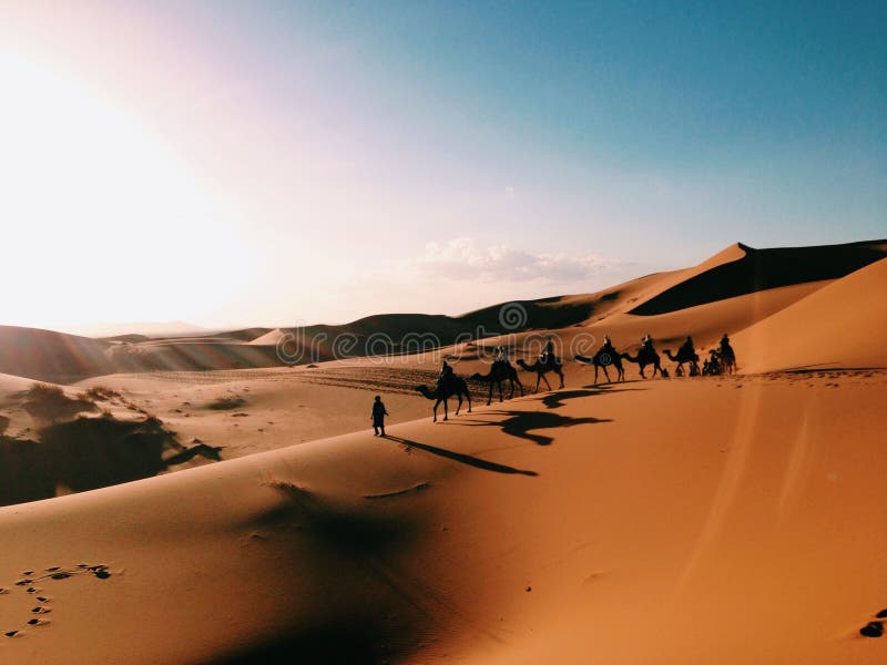 Caravan in the Sahara Desert Stock Image - Image of sand, caravan: 62988695