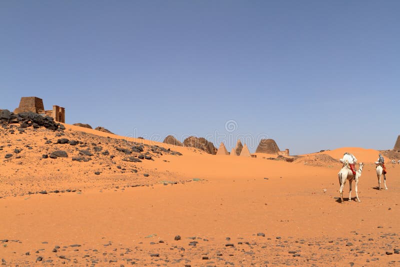 Caravan in the Sahara from Sudan Near Meroe Stock Image - Image of site ...