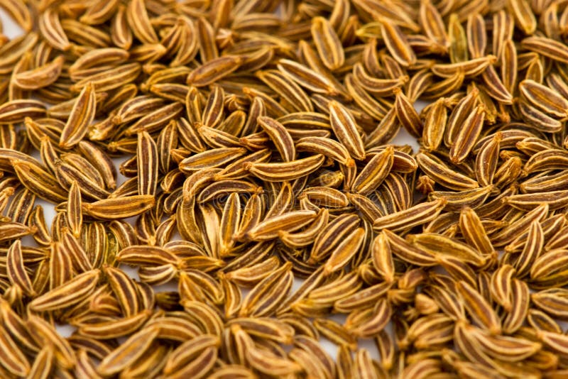 Caraway stock image. Image of spice, scented, macro, brown - 18162103