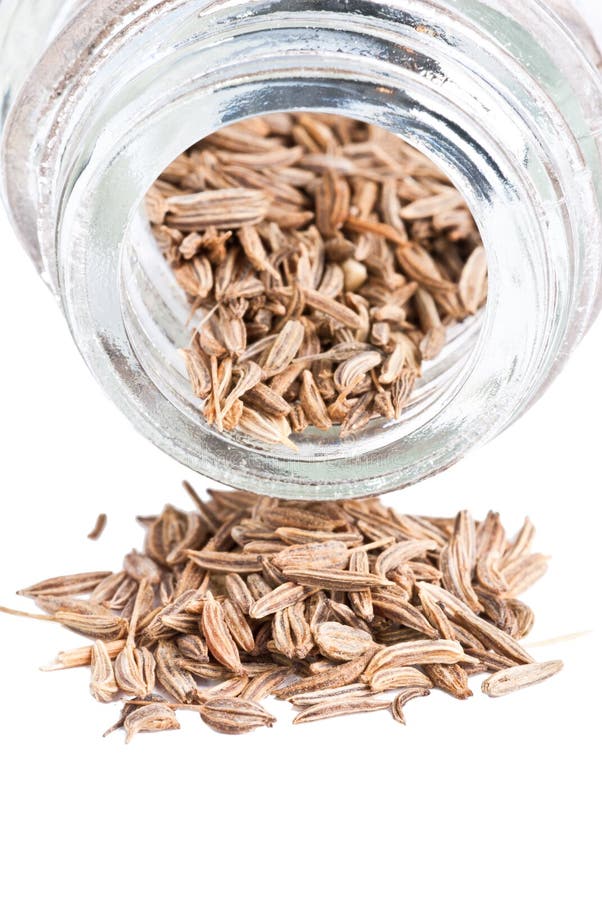 Caraway stock image. Image of brown, scented, condiment - 22199333