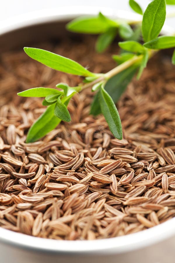 Caraway stock photo. Image of white, isolated, care, nature - 1583914