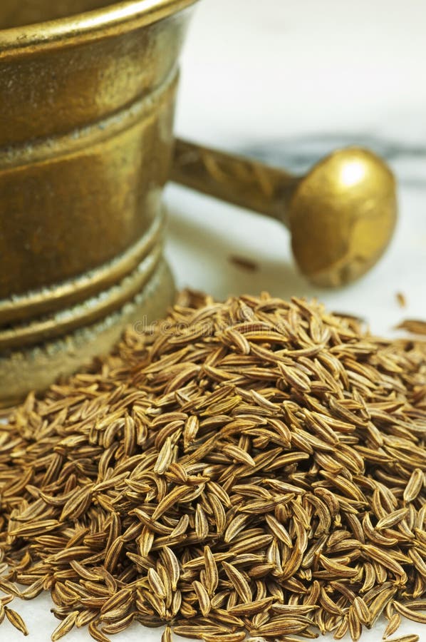 Caraway stock photo. Image of flavor, closeup, group - 28514552