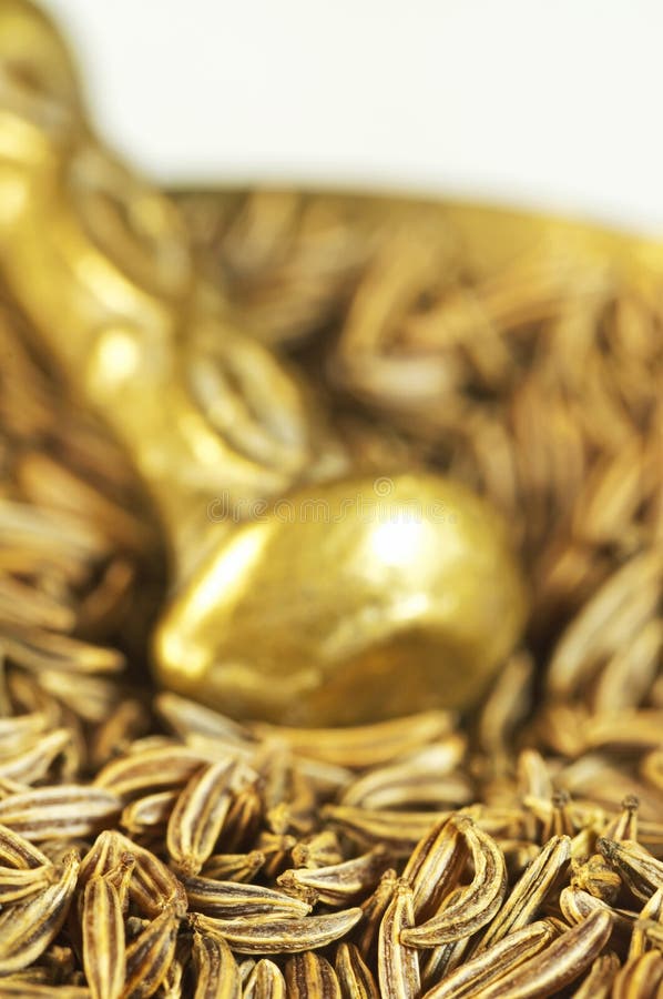 Caraway stock photo. Image of condiment, indian, flavoring - 28514654