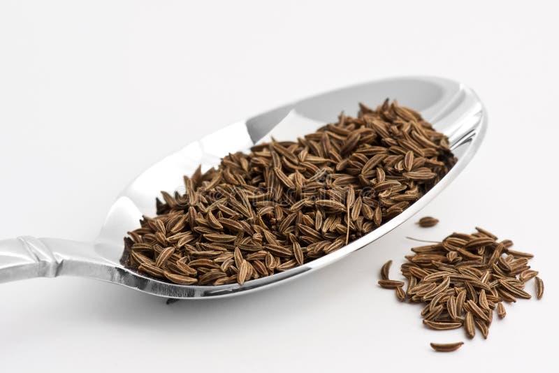 Caraway stock photo. Image of detail, food, pile, spoonful - 8142700