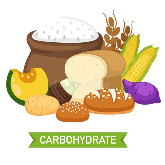 Carbohydrate food group stock vector. Illustration of edible - 335834931