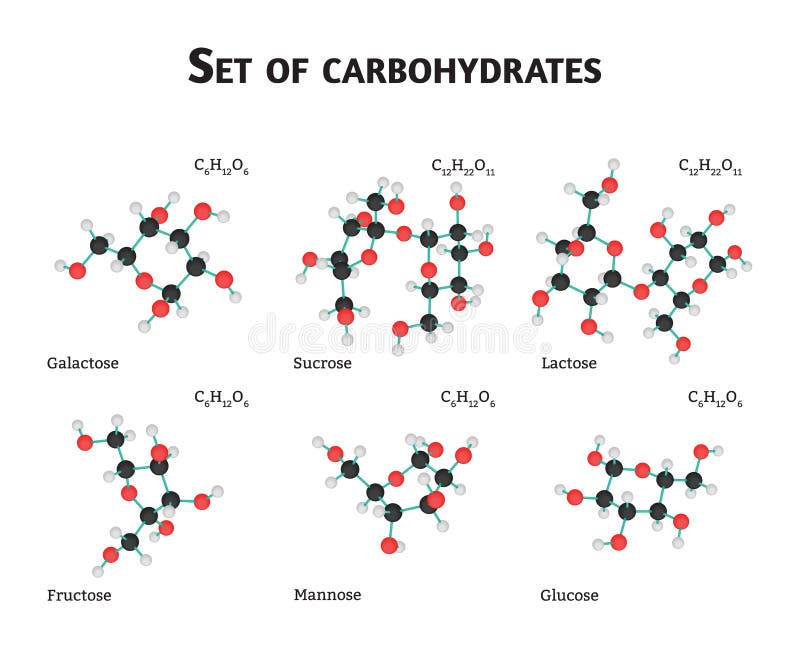 Cartoon Carbohydrate Molecules