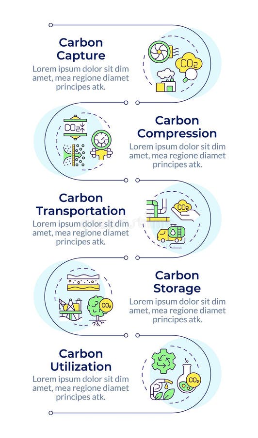 Carbon Capture Methodology Infographic Vertical Sequence Stock Vector ...