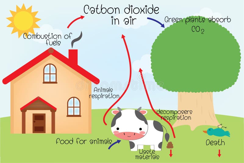 10+ Carbon cycle Free Stock Photos - StockFreeImages