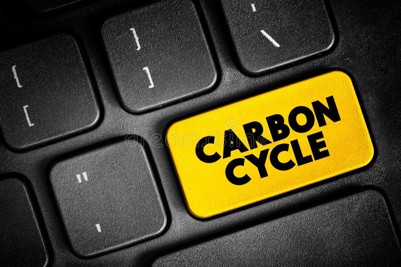 Carbon Cycle Process In Which Carbon Atoms Continually Travel From The Atmosphere To The Earth