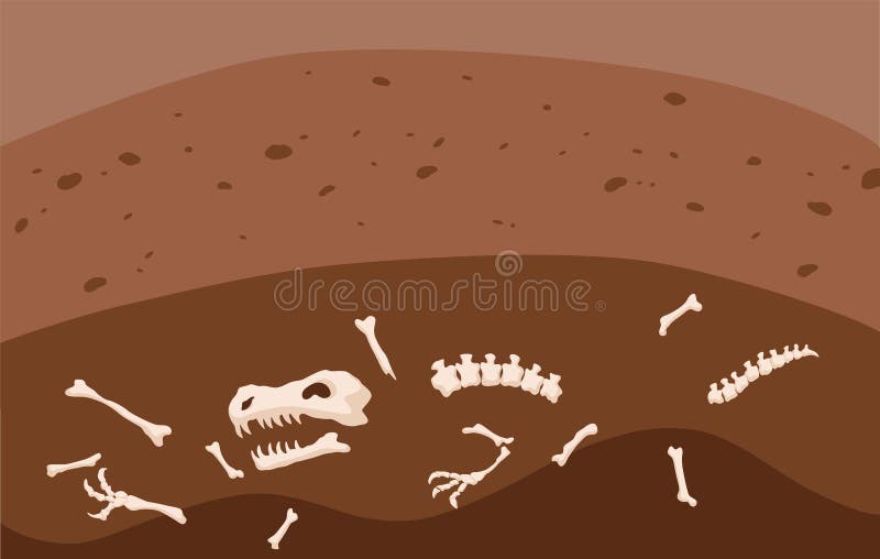 Carbon Cycle, Soil Layer Part of the Biogeochemical Cycle. Science ...