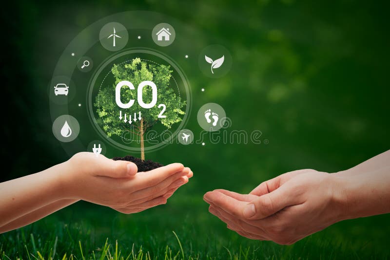 Carbon Dioxide Emission Concept with Tree in Hands Stock Photo - Image ...