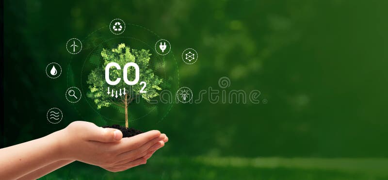 Carbon Dioxide Emission Concept with Tree in Hands Stock Image - Image ...