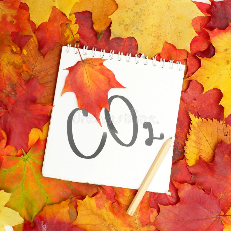 Carbon Dioxide Written on White Paper Lying on Autumn Leaves Background ...