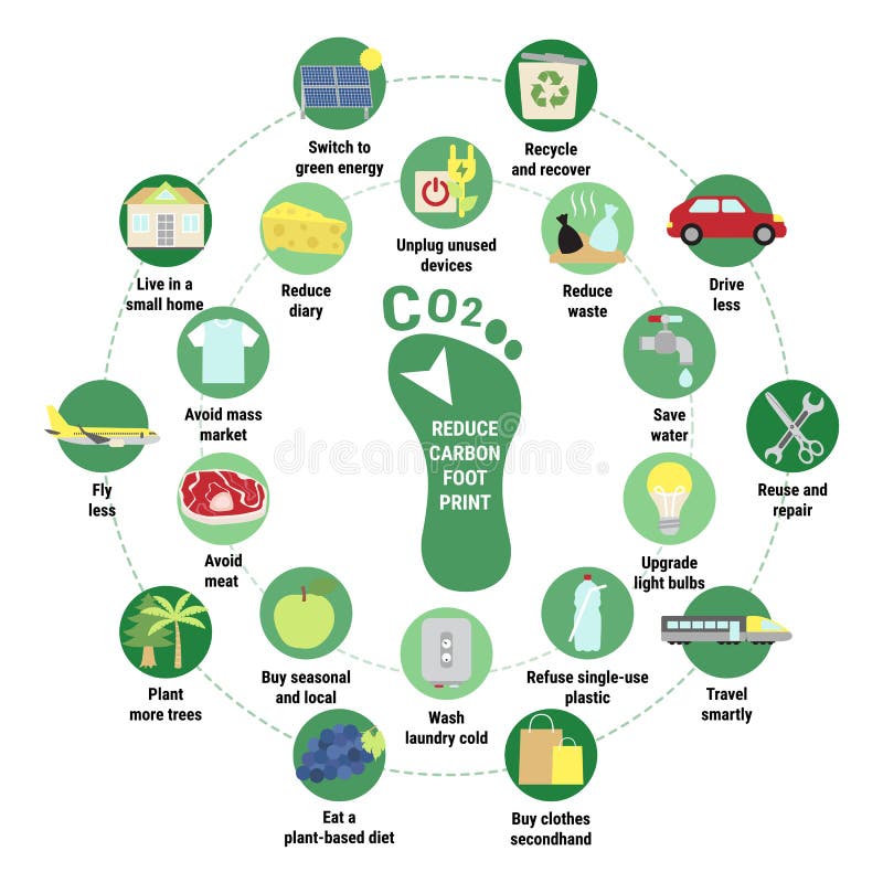 Carbon Footprint Circle Infographic. Tips for Reducing Your Personal ...