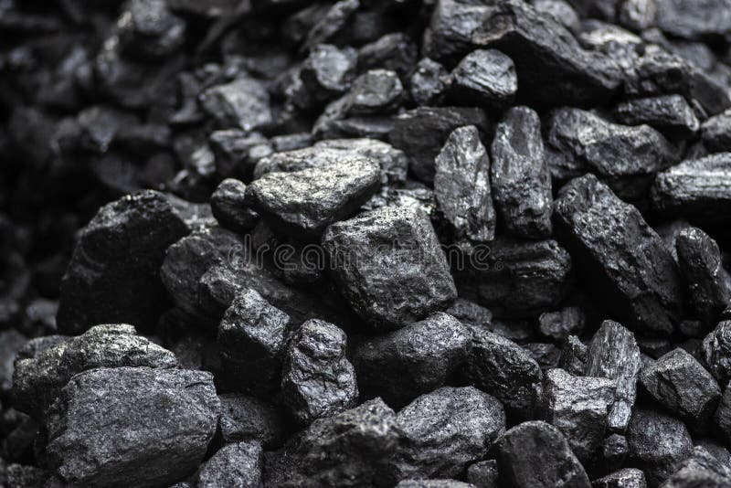 Carbon Fossile Foto Stock - Download 169 Royalty Free Photos