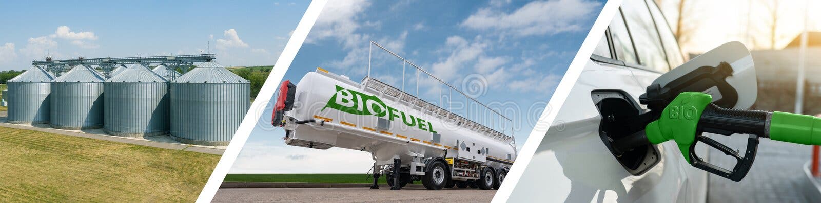 394 Fuel Decarbonization Stock Photos - Free & Royalty-Free Stock ...