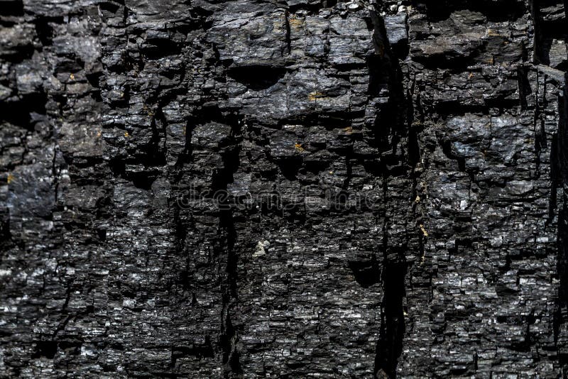 Carbone Nero Nella Roccia Del Canyon Fotografia Stock - Immagine di ...