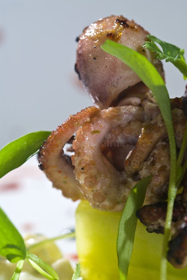 Carbonized octopus stock image. Image of carbonized, tartar - 11031091