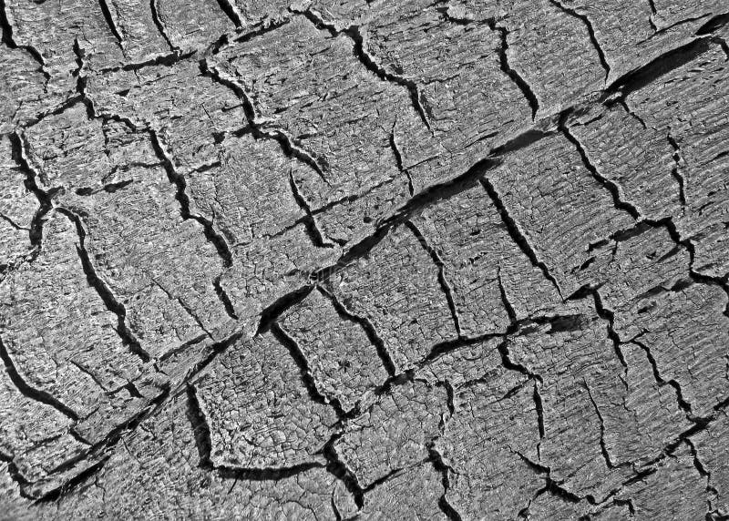 Carbonized Wooden Texture Closeup, Stress, Stock Photo - Image of ...