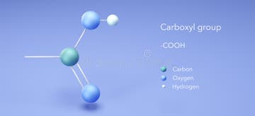 Carboxyl Group, Molecular Structures, 3d Model, Structural Chemical ...