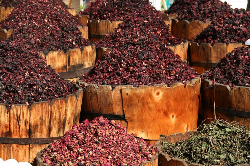 Carcade. Egypt stock photo. Image of leaf, east, diet - 11923834