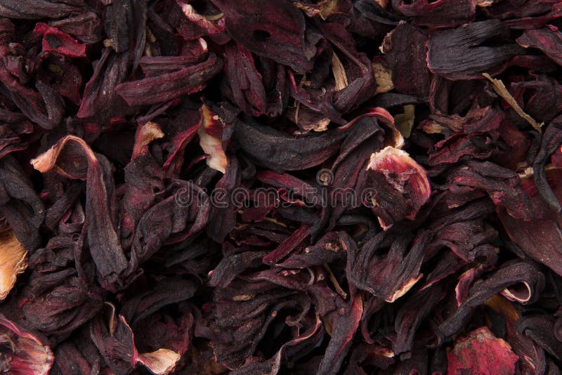 Dry Carcade Tea Leaves. Healthy Drink Stock Photo - Image of documents ...