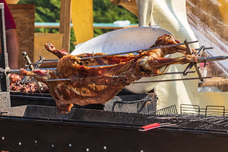 The Carcass of a Young Sheep Roasting on a Spit Over a Low Fire of ...
