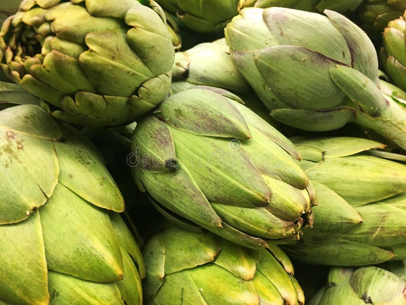 Carciofo fotografia stock. Immagine di verde, saporito - 105780042