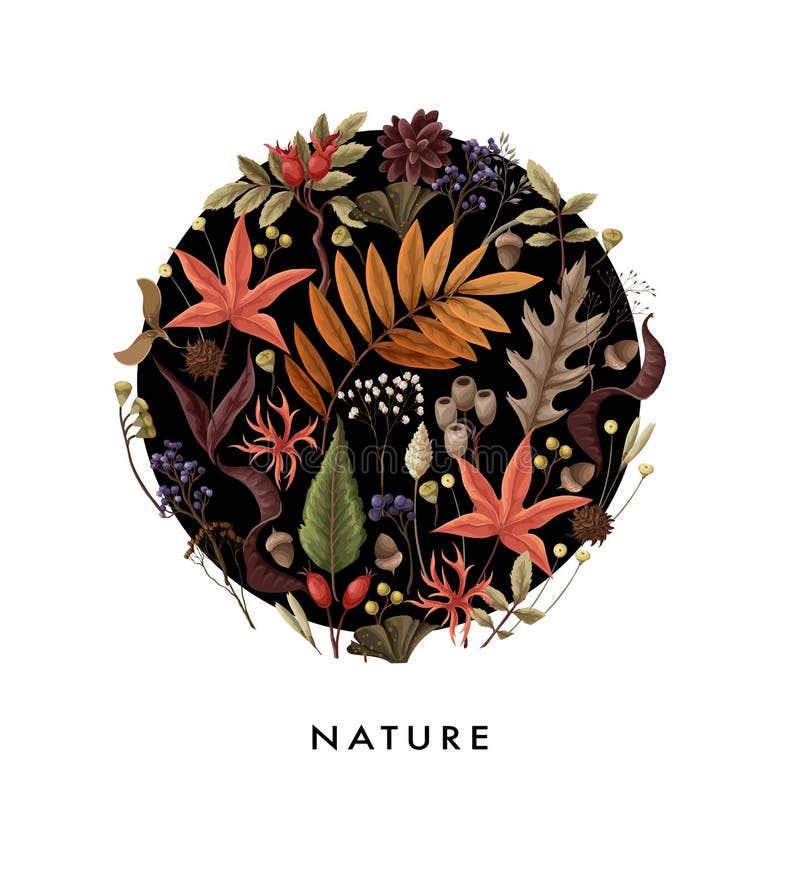 Card with Autumn Leaves and Dried Plants Isolated. Vector Stock Vector ...