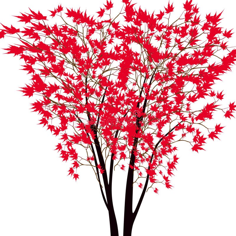 Card with Autumn Maple Tree. Red Maple Trees in the Middle. Japanese ...