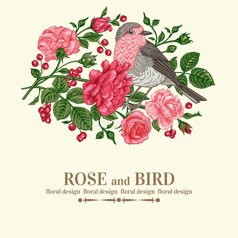 Bird and roses stock vector. Illustration of elegance - 23117629