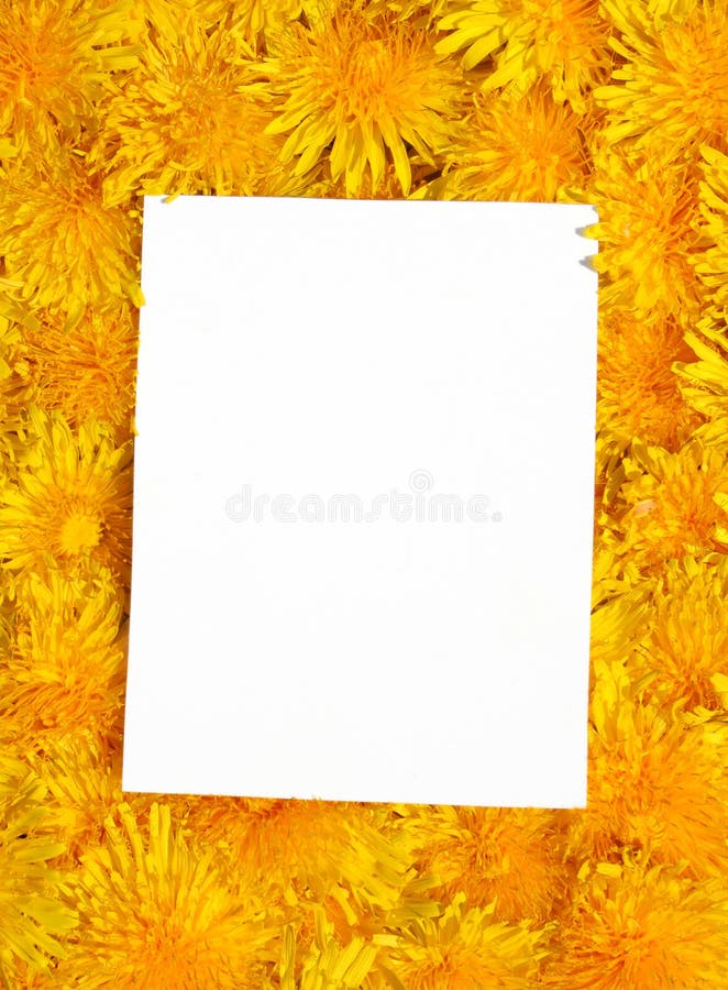 Card blank stock photo. Image of page, plank, grass, office - 9195138