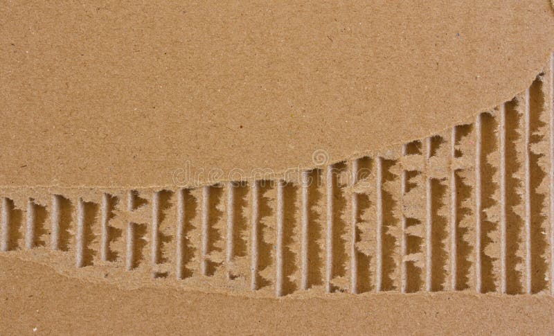 Card board box with torn stock photo. Image of package - 24319622