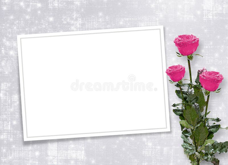 Card for Congratulation with Pink Roses Stock Illustration ...