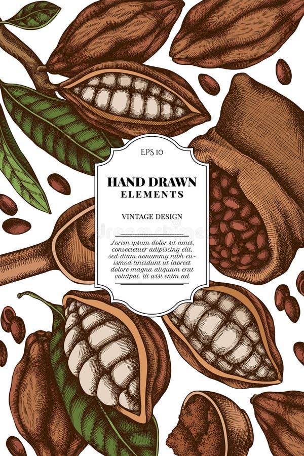 Card Design with Colored Cocoa Beans, Cocoa Stock Vector - Illustration ...