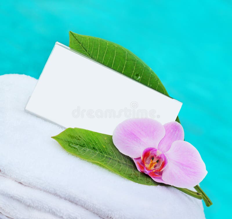 Card and Flower Orchid and a Card with Space for Your Text Stock Photo ...