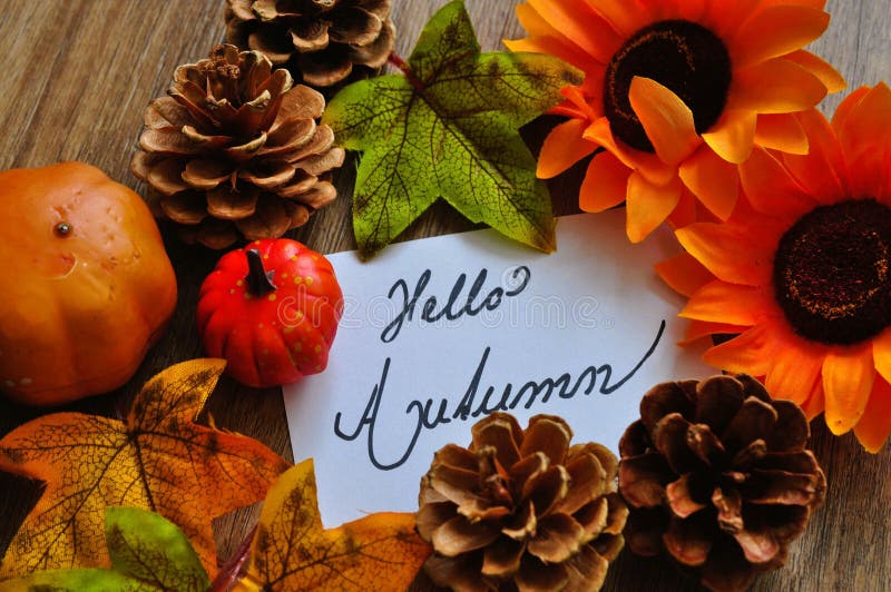 Card with Hello Autumn Write between Autumn Decorations Stock Photo ...