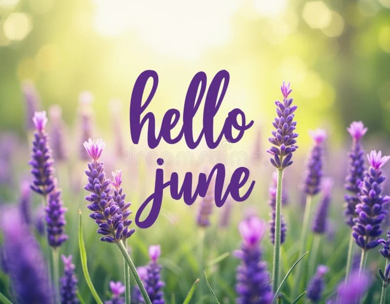 Card with "HELLO JUNE" Text , Surrounded by Vibrant Flowers. Stock ...