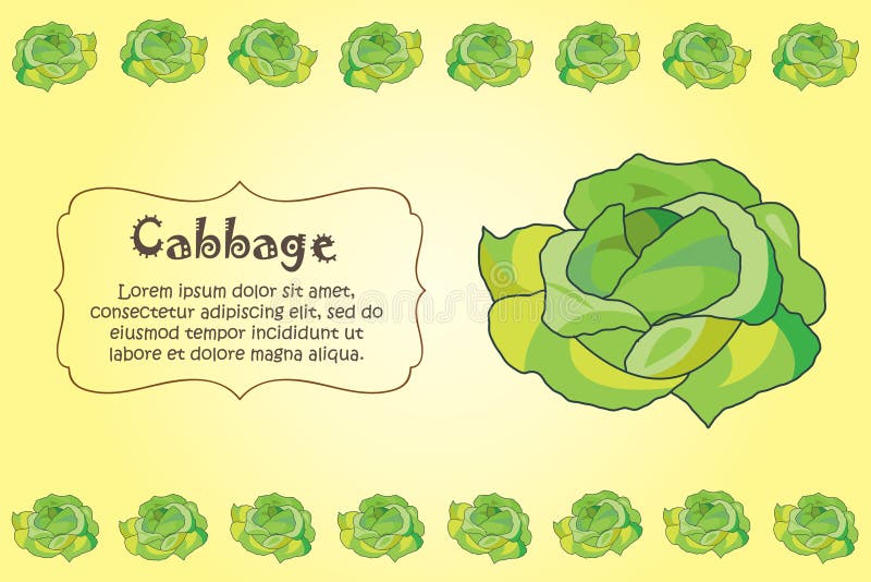 Card for Kitchen Notes. Blank with Cabbage Ornament. Kitchen Card Stock ...