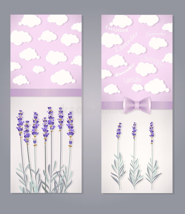 Lavender bouquet stock vector. Illustration of decorated - 52641289