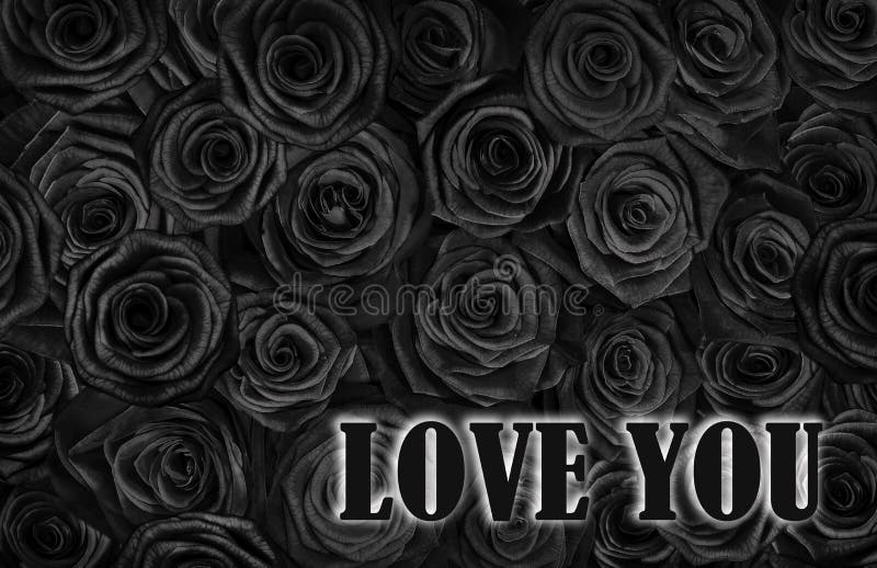 Card Love You with Black Roses Stock Photo - Image of bouquet ...