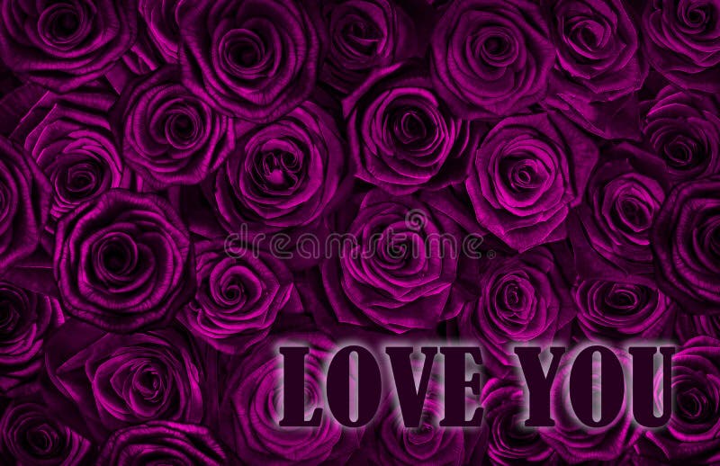 Card Love You with Fresh Pink Roses Stock Image - Image of blooming ...
